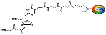 5’-DMT-dT-C-5-RBQ-C3 CPG Support