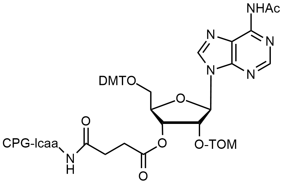 2’-TOM Adenosine(N-Ac)-3’-lcaa-CPG