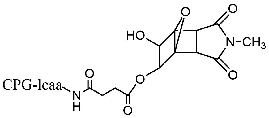 N-Methyl-Universal Unylinker-Succinyl-lcaa-CPG Support (DMT-OFF)